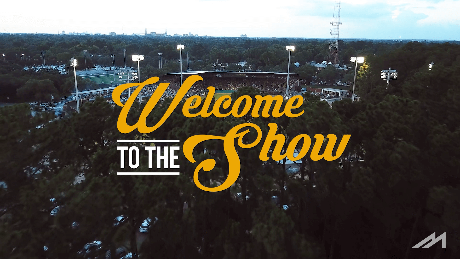 MarketScale Original Series: Welcome to the Show - MarketScale