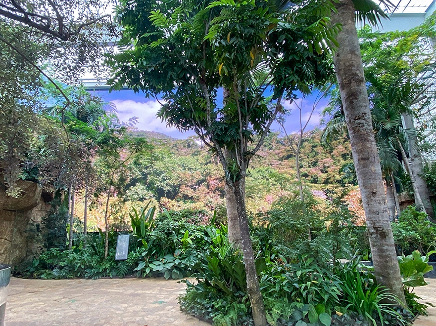 The Dallas World Aquarium Extends Landscape With Massive Videowall