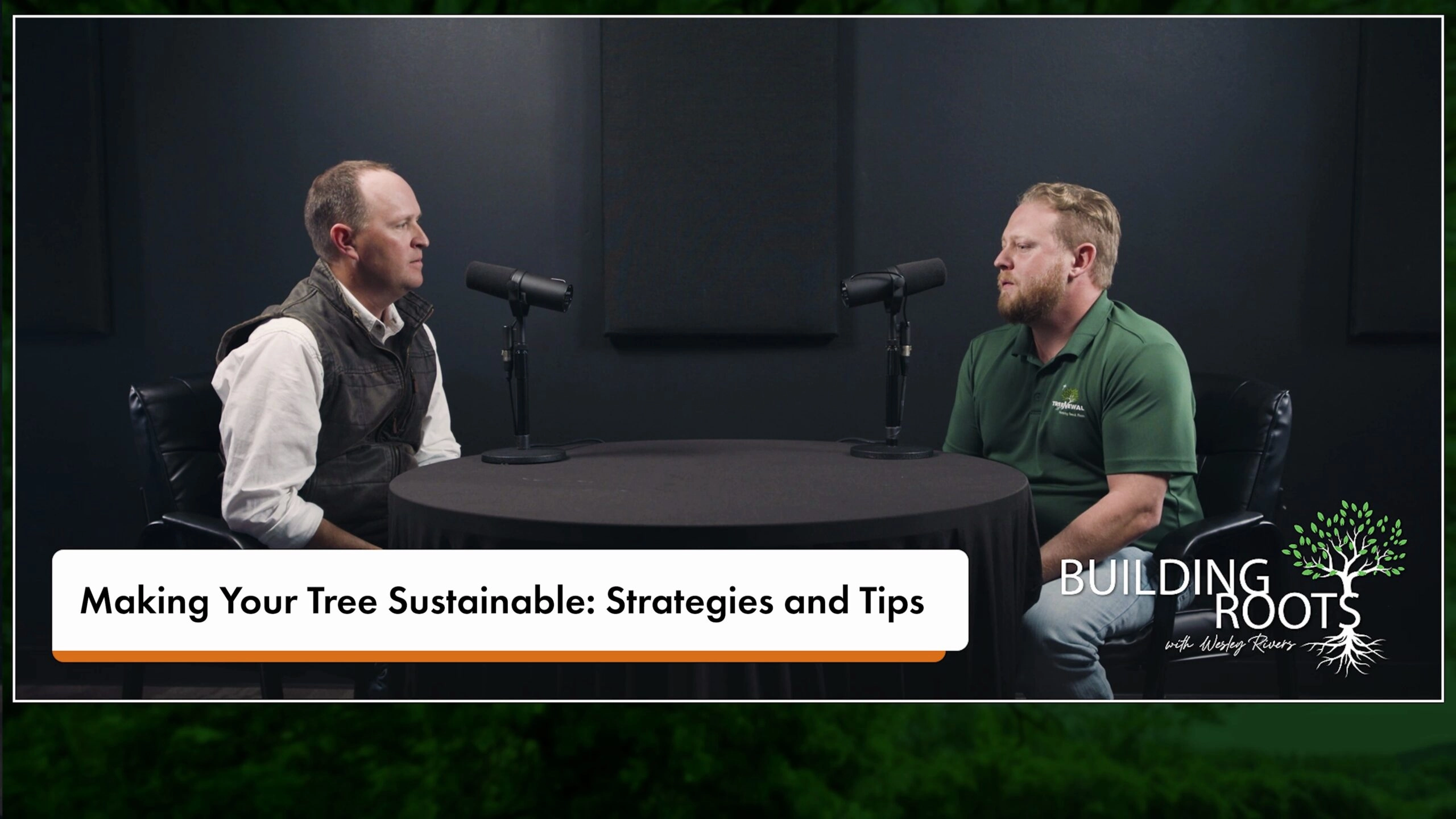 Making Your Trees Sustainable: Strategies and Tips