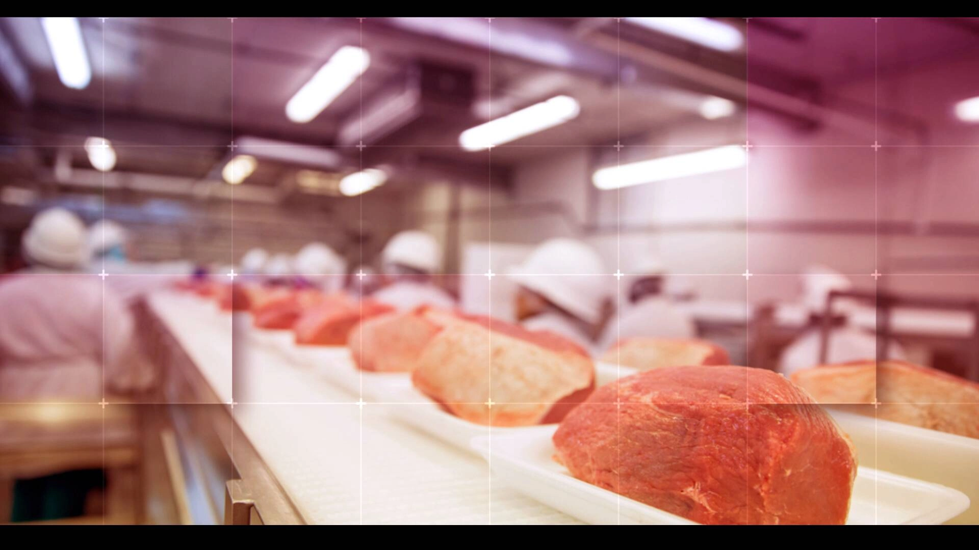 Regulating Humidity and Temperatures for the Food Industry