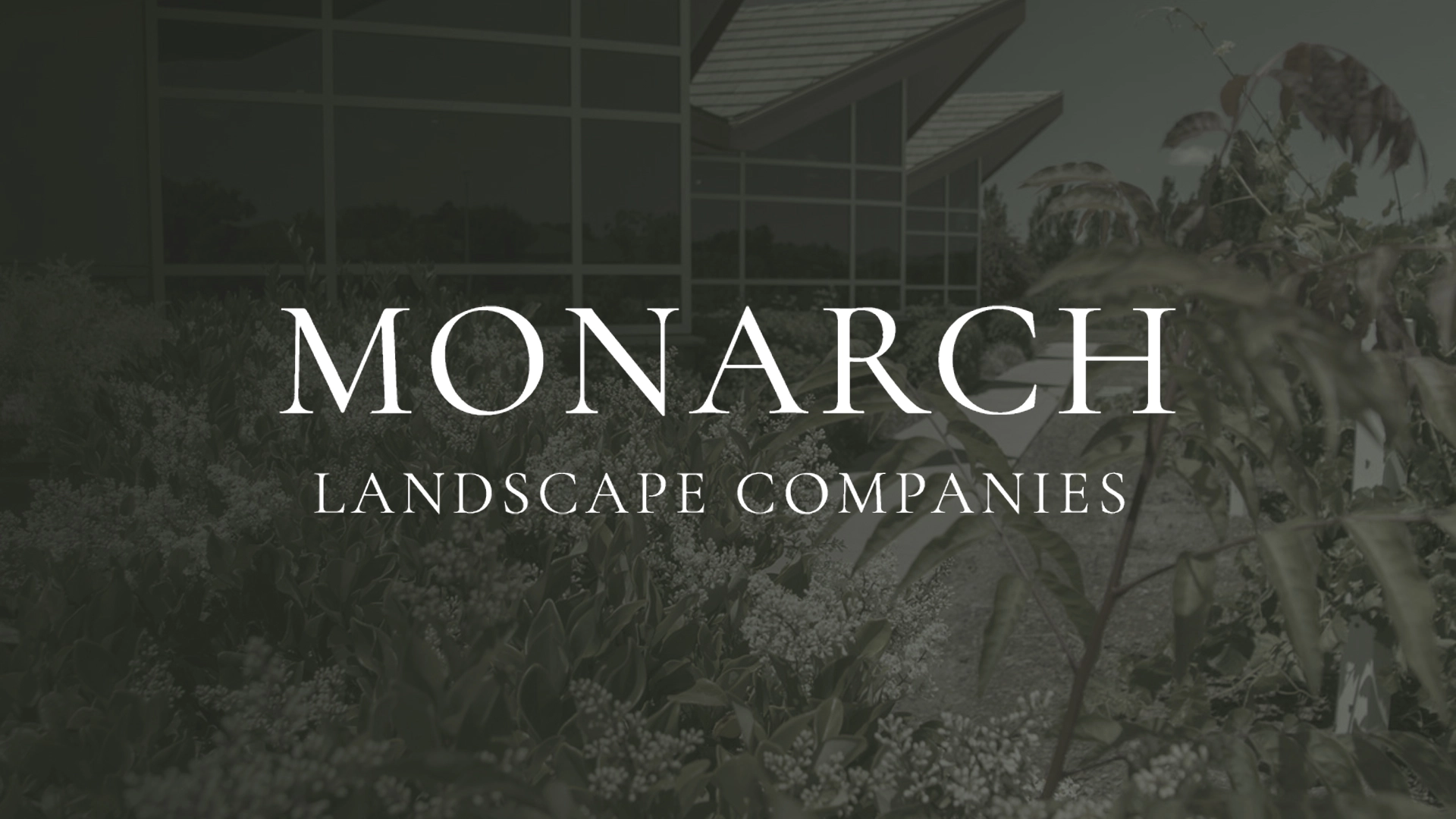 Monarch Landscape - MarketScale