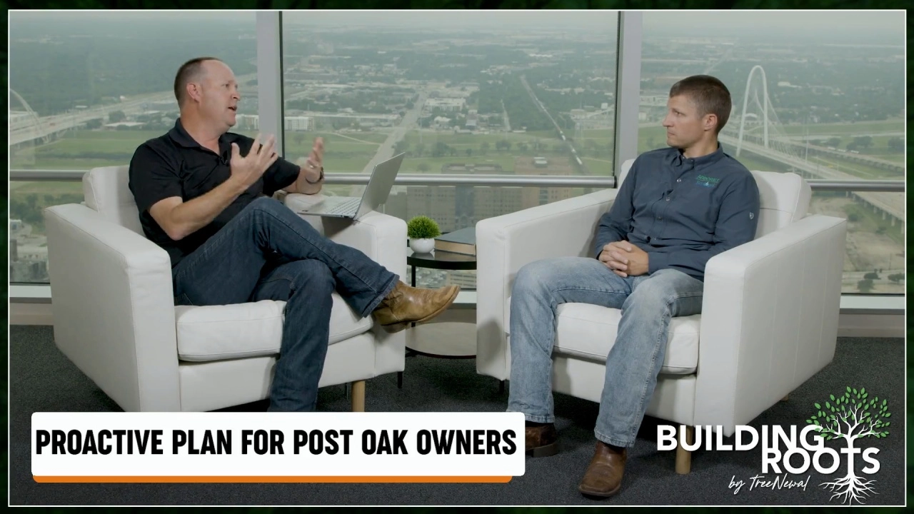 Proactive Plan For Post Oak Owners