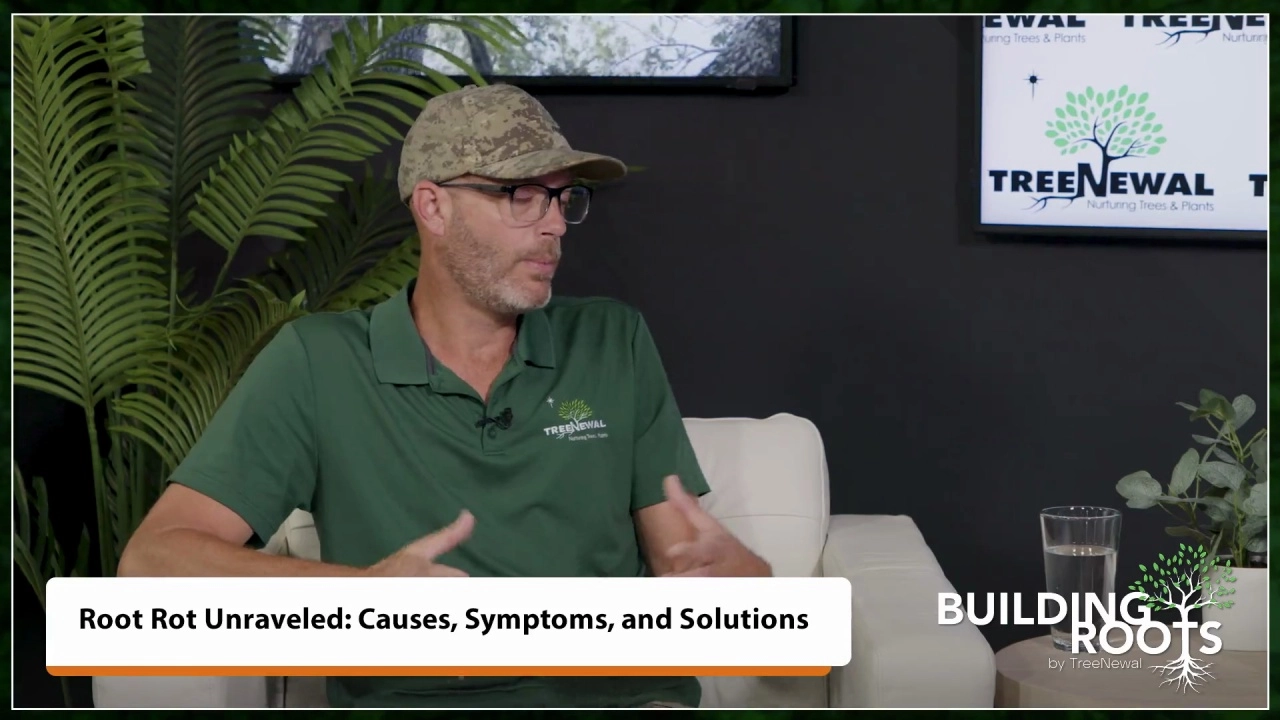 Root Rot Unraveled: Causes, Symptoms, and Solutions