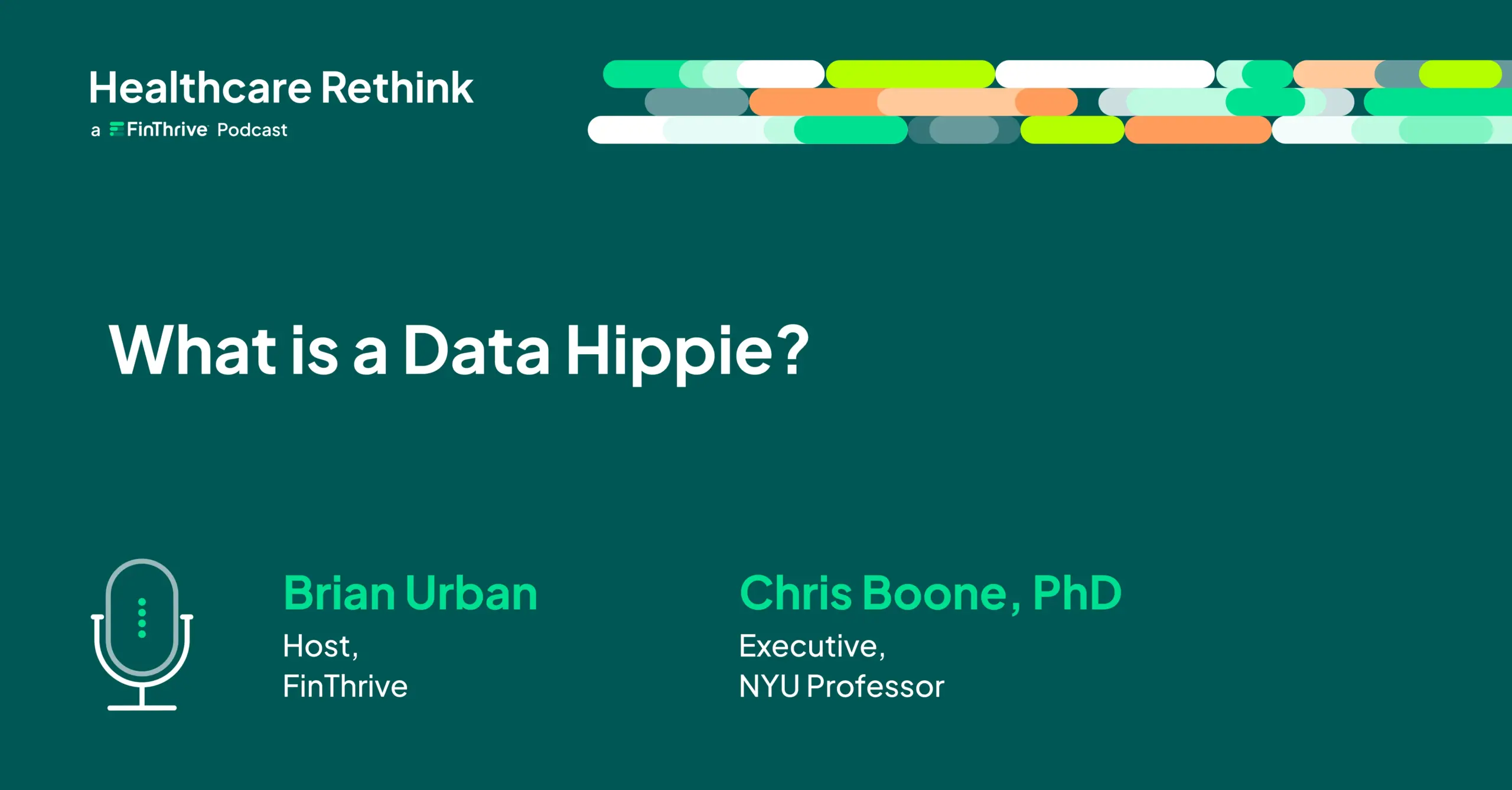 What is a Data Hippie?