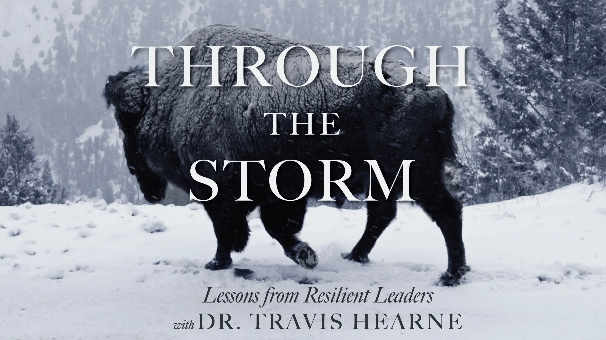 Through the Storm | Resilient Leadership in Tough Times